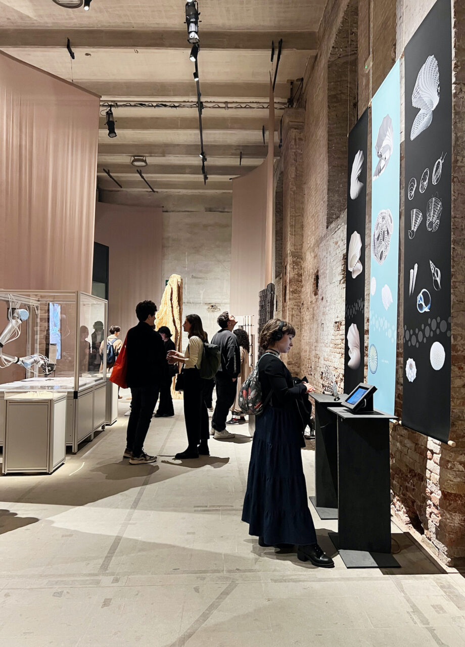 Can you grow an underwater auditorium? Michael Pawlyn is giving it a go ...